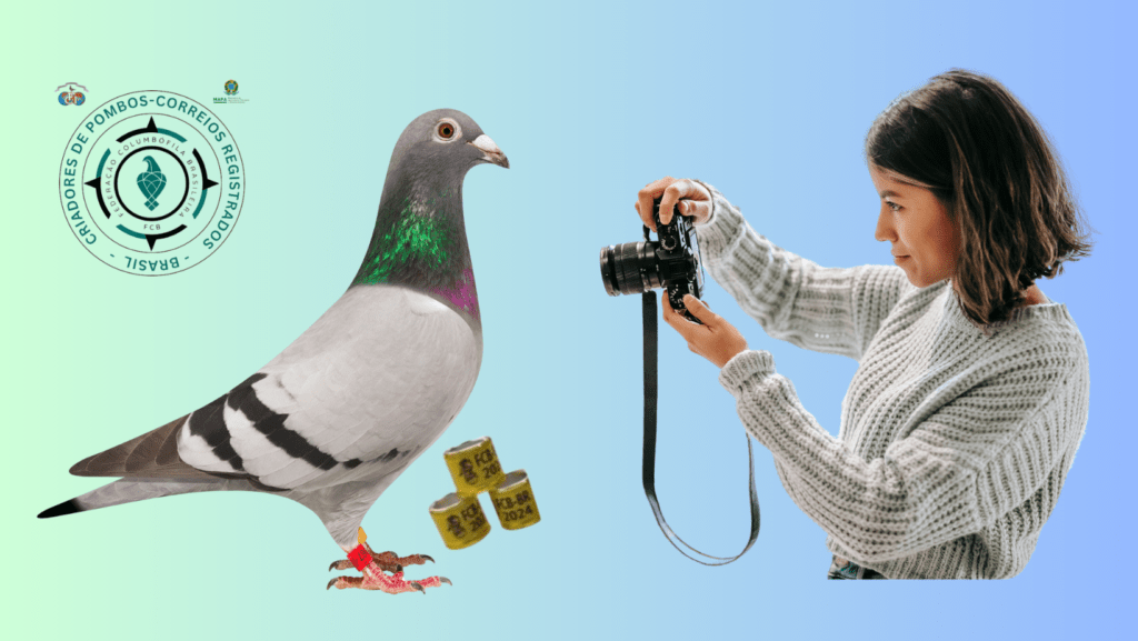 Notícias - FCB BR OFICIAL